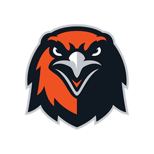 Hermantown Football | Strib Varsity